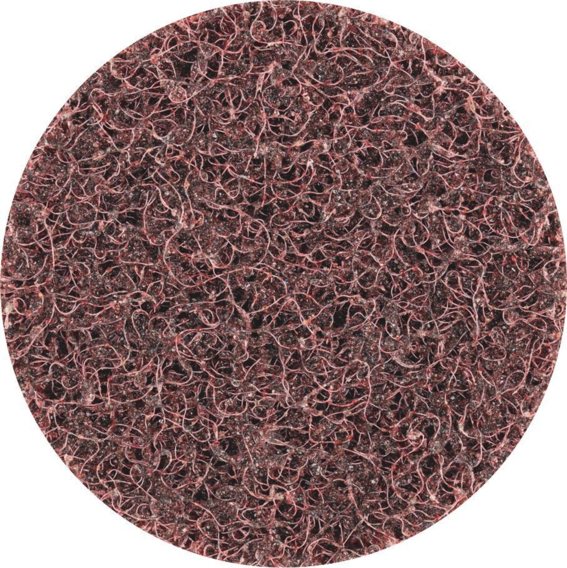 42781502 PFERD COMBIDISC hard non-woven disc CDR dia. 50 mm A180M for fine grinding and ...